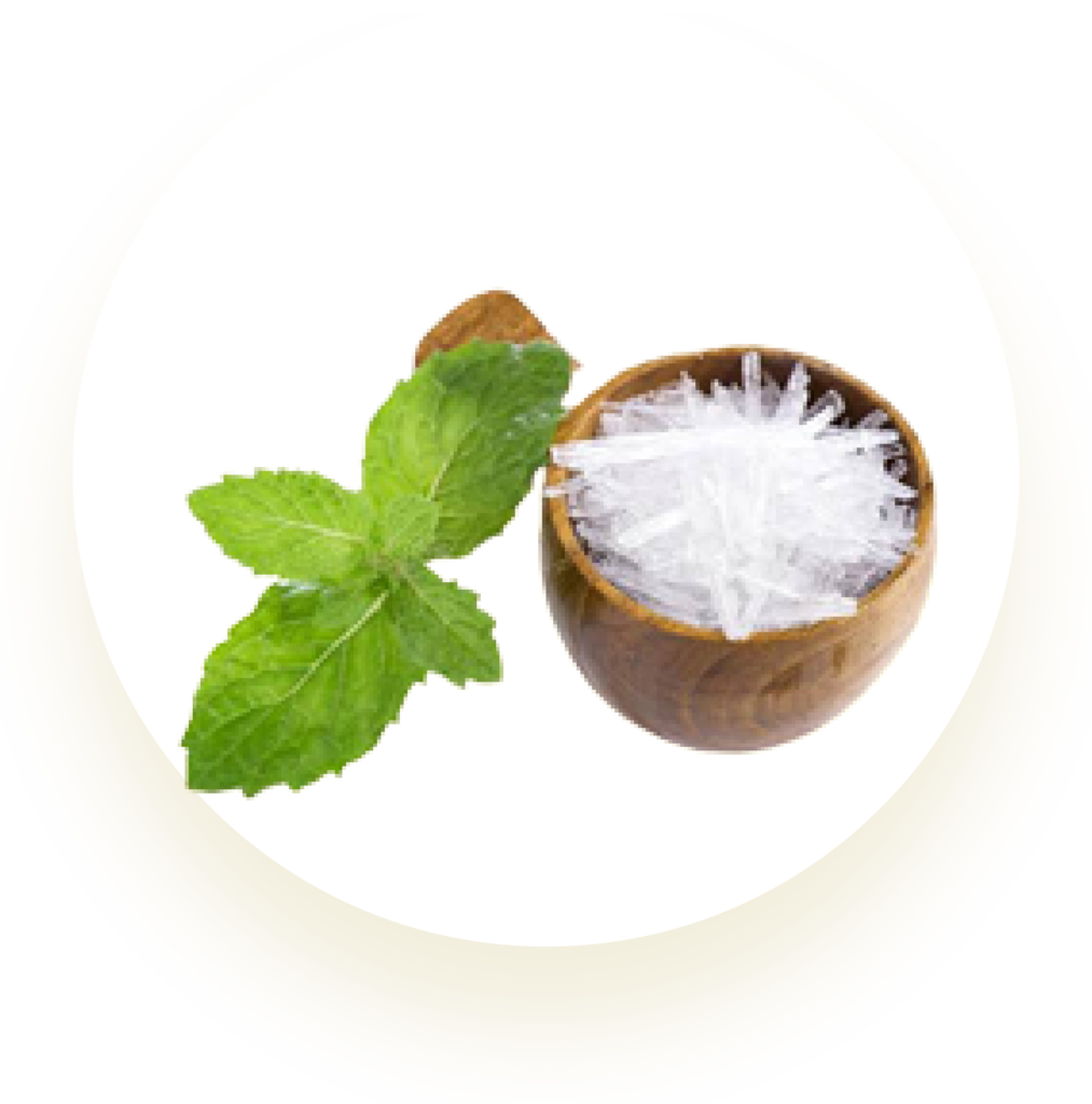 Sanjeevani Sandhika – An Ayurvedic Oil for Physical & Mental Stress